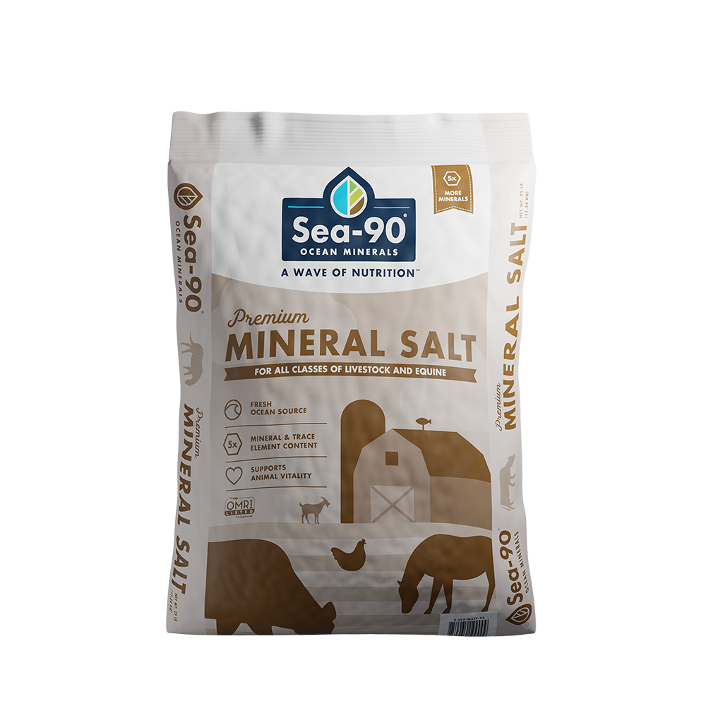 Sea-90 Premium Mineral Salt – Sea-90 Ocean Minerals